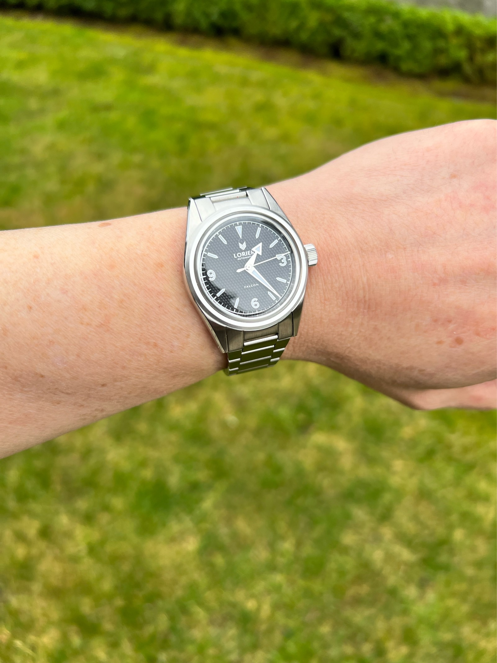 Lorier Falcon 3 | WatchCrunch Lorier Falcon 3 | WatchCrunch